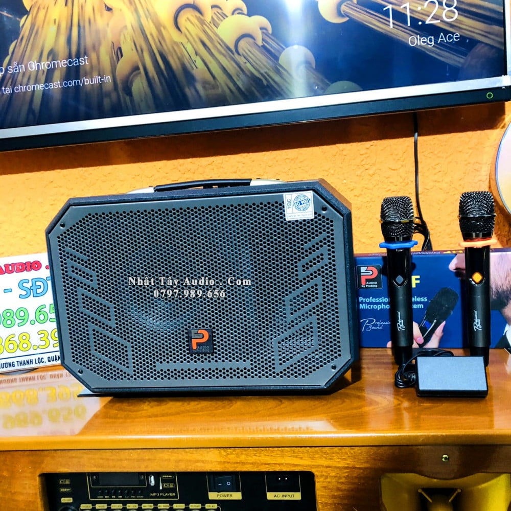 Loa Karaoke Mini Prosing W8-Alisa | Loa Xách Tay Cao Cấp Cực Hay